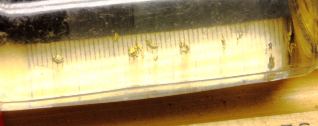 Build a sluice box (boil box)